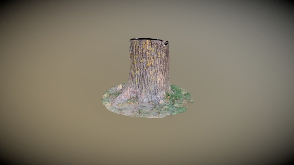 Headless Tree 3Dscanned - 3D model by Giulio Casellato (@Kommand ...