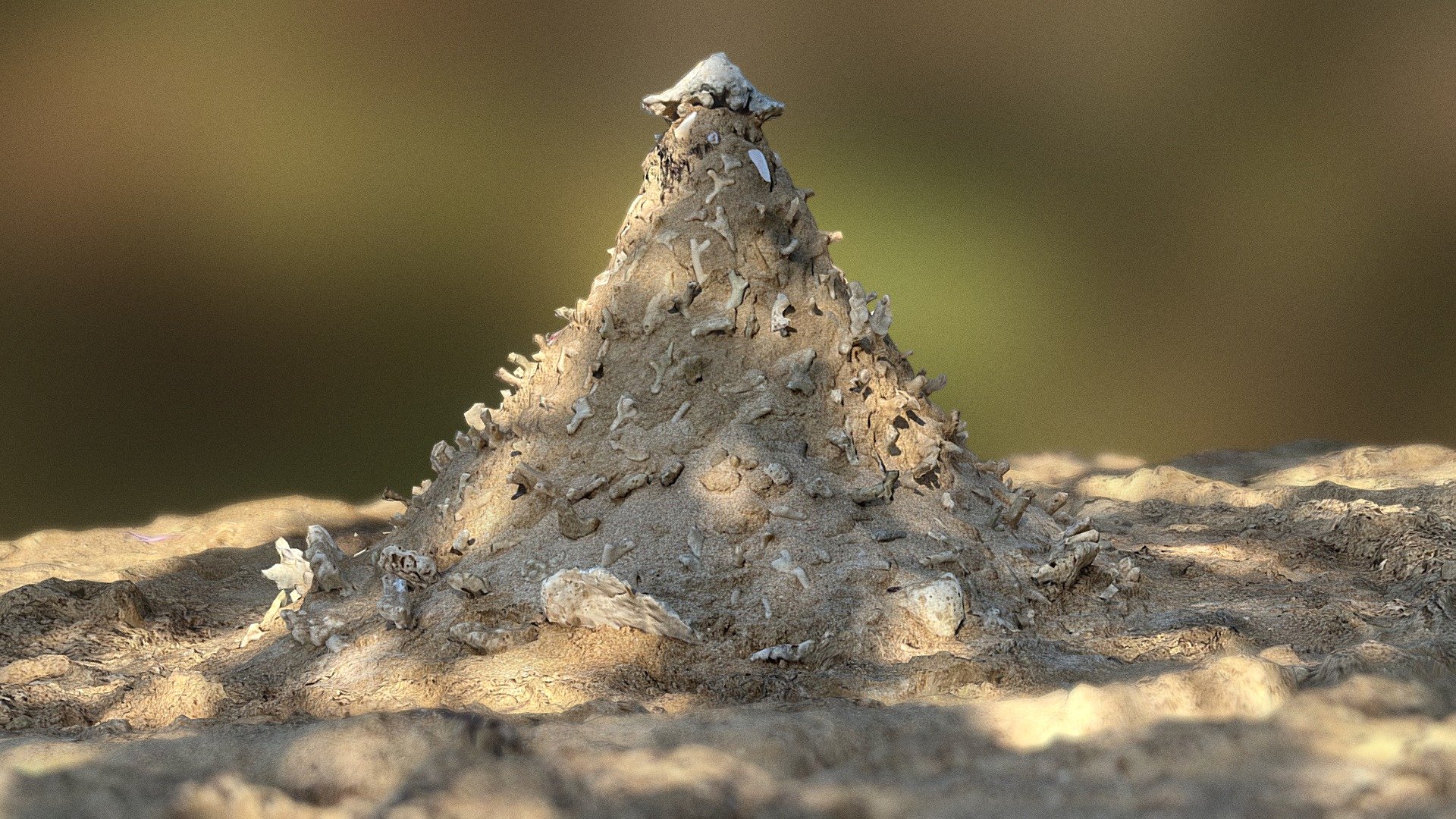 coral_tower - 3D model by yskm [dd5be7b] - Sketchfab