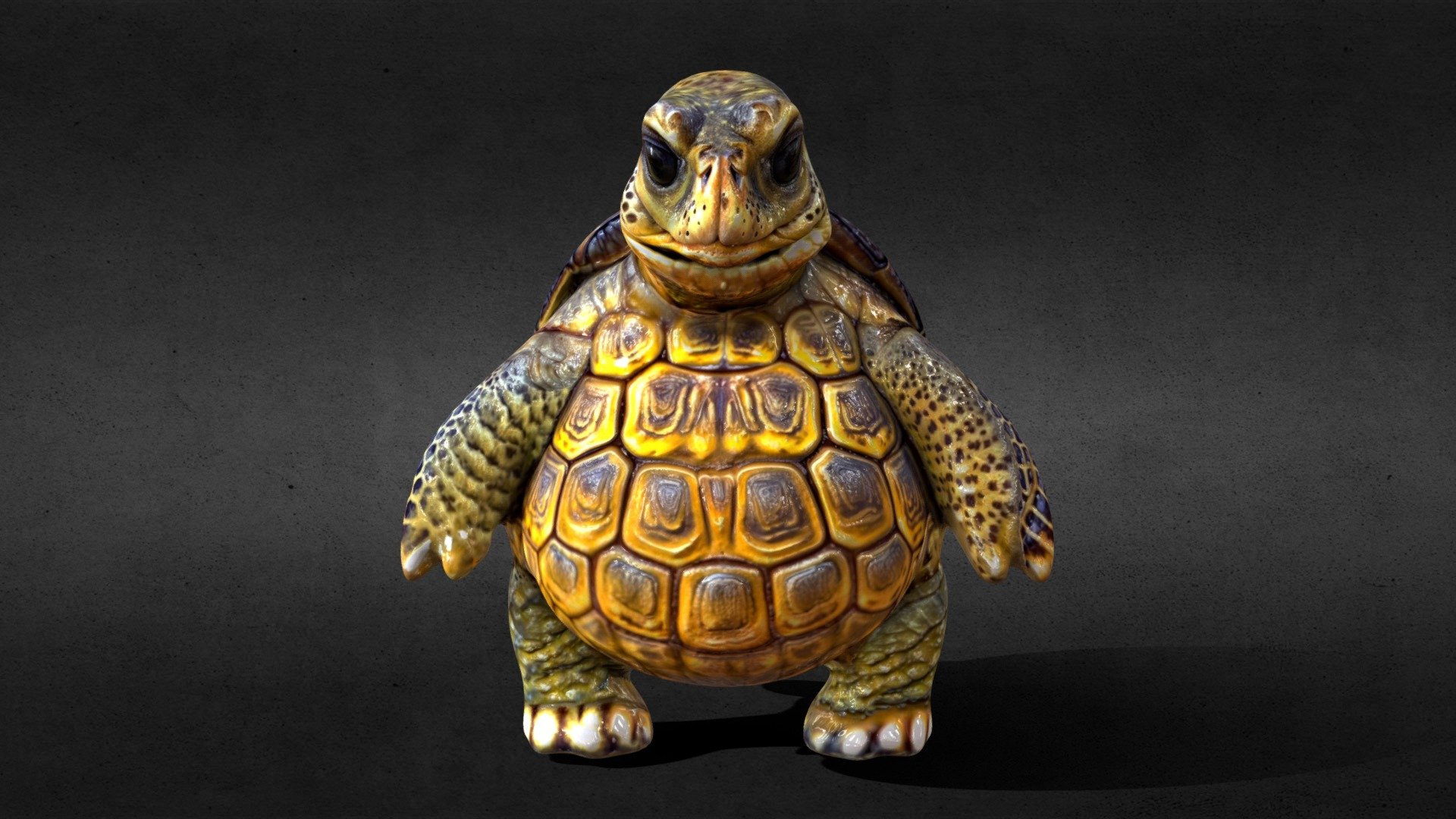 Fantasy turtle, midpoly - Buy Royalty Free 3D model by endike [dd5c18d ...