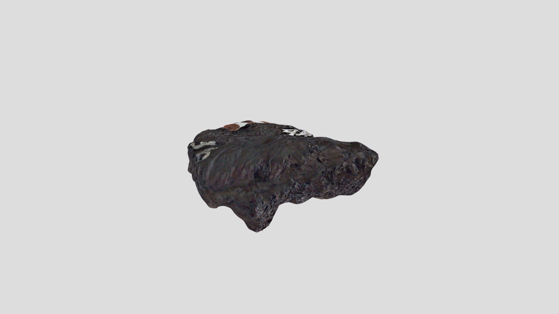 Basalt lava (Pahoehoe) - Download Free 3D model by Jens Andersen ...