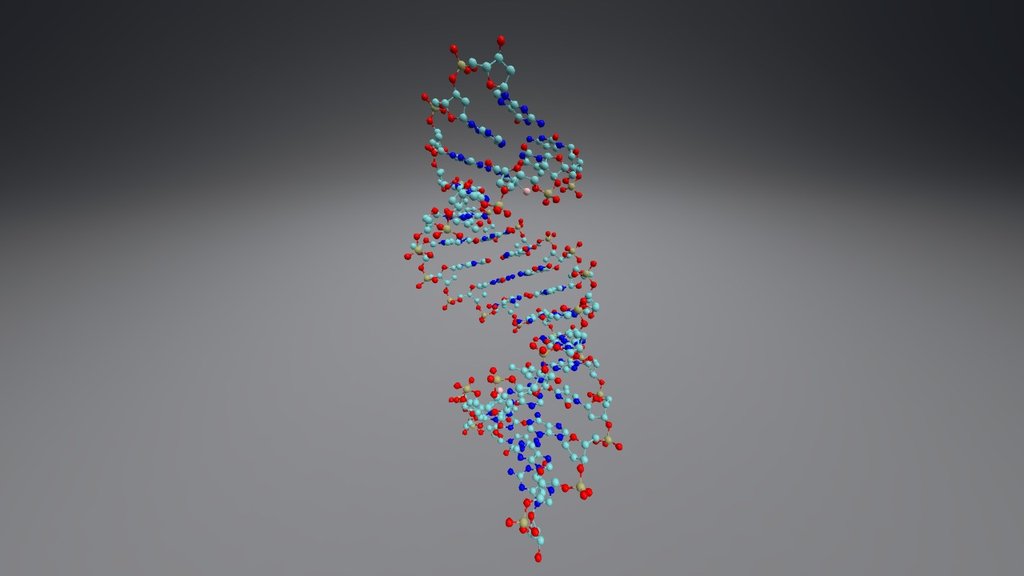 DNA Fragment - Download Free 3D model by tonibois [dd5fb18] - Sketchfab