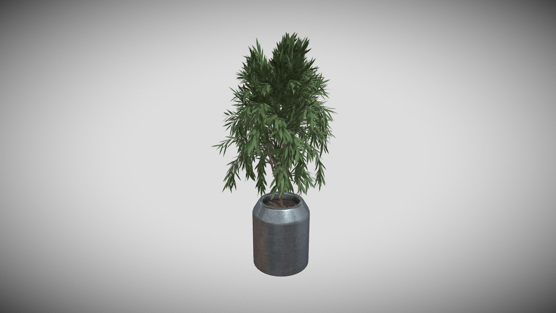 Potted Tree - Download Free 3D model by dylanheyes [dd6c9d9] - Sketchfab