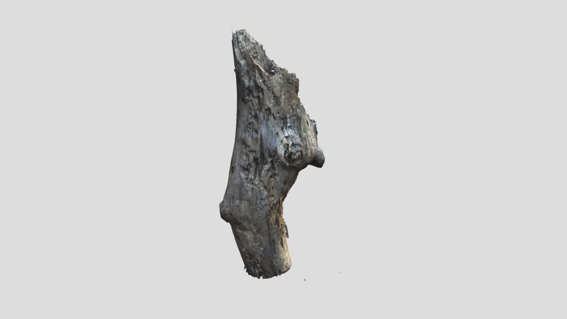 Loggy Mc Logface - 3D model by richfrew [dd6cd3b] - Sketchfab