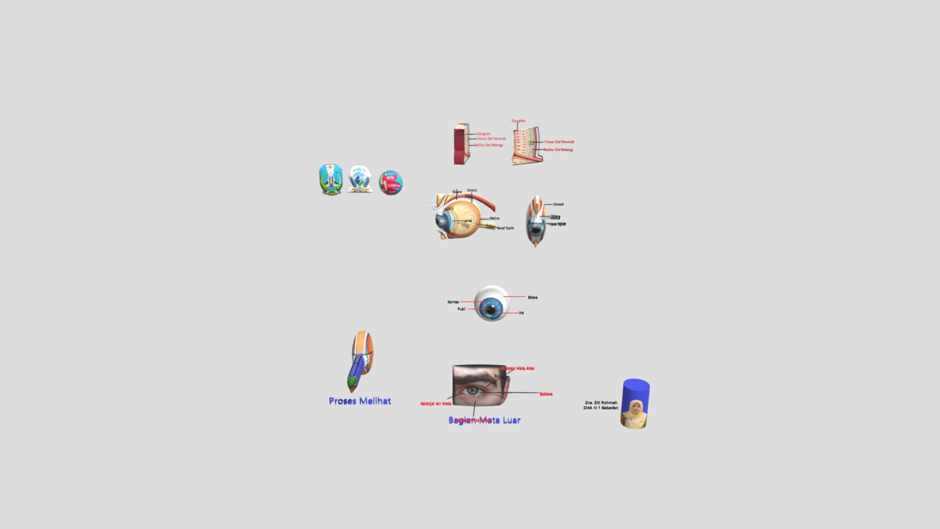 Bagian-Bagian Mata Manusia - 3D model by sitirohmah_biologi [dd75454 ...