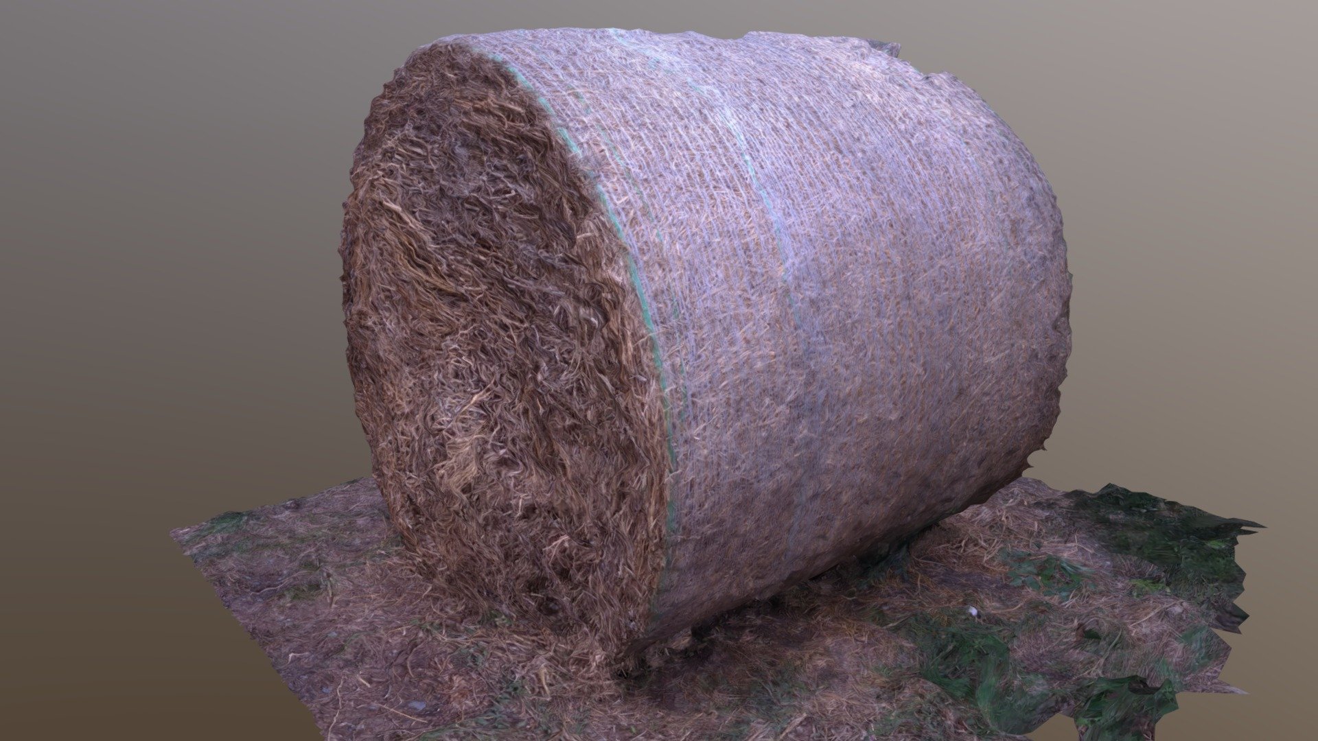 Straw Roll 3 - 3D model by FilipeBrigido [dd7a421] - Sketchfab