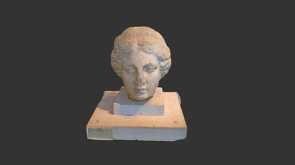Female Greek Head - Download Free 3D model by glasgowmuseums [dd7a706 ...