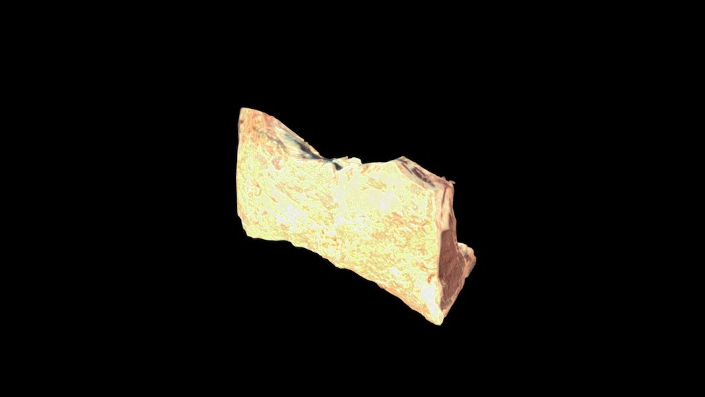 Beef Anatomical Object - Download Free 3D model by UNLMeat Collections ...