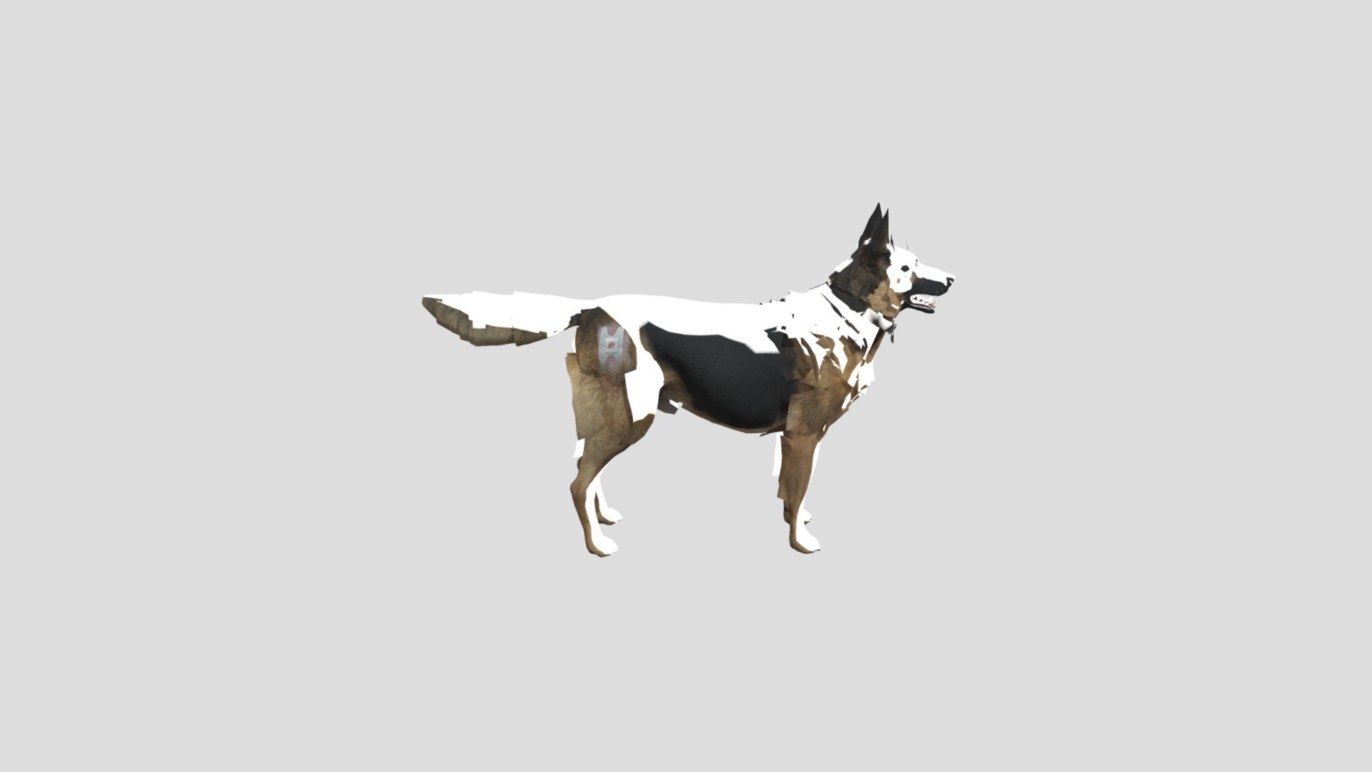 Cod Ghost's dog, Riley - Download Free 3D model by Kapu (@FnafFanForevs ...