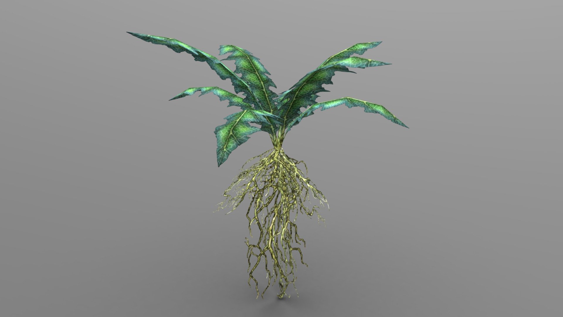 Nirnroot - 3D model by PeterBitt [dd89377] - Sketchfab