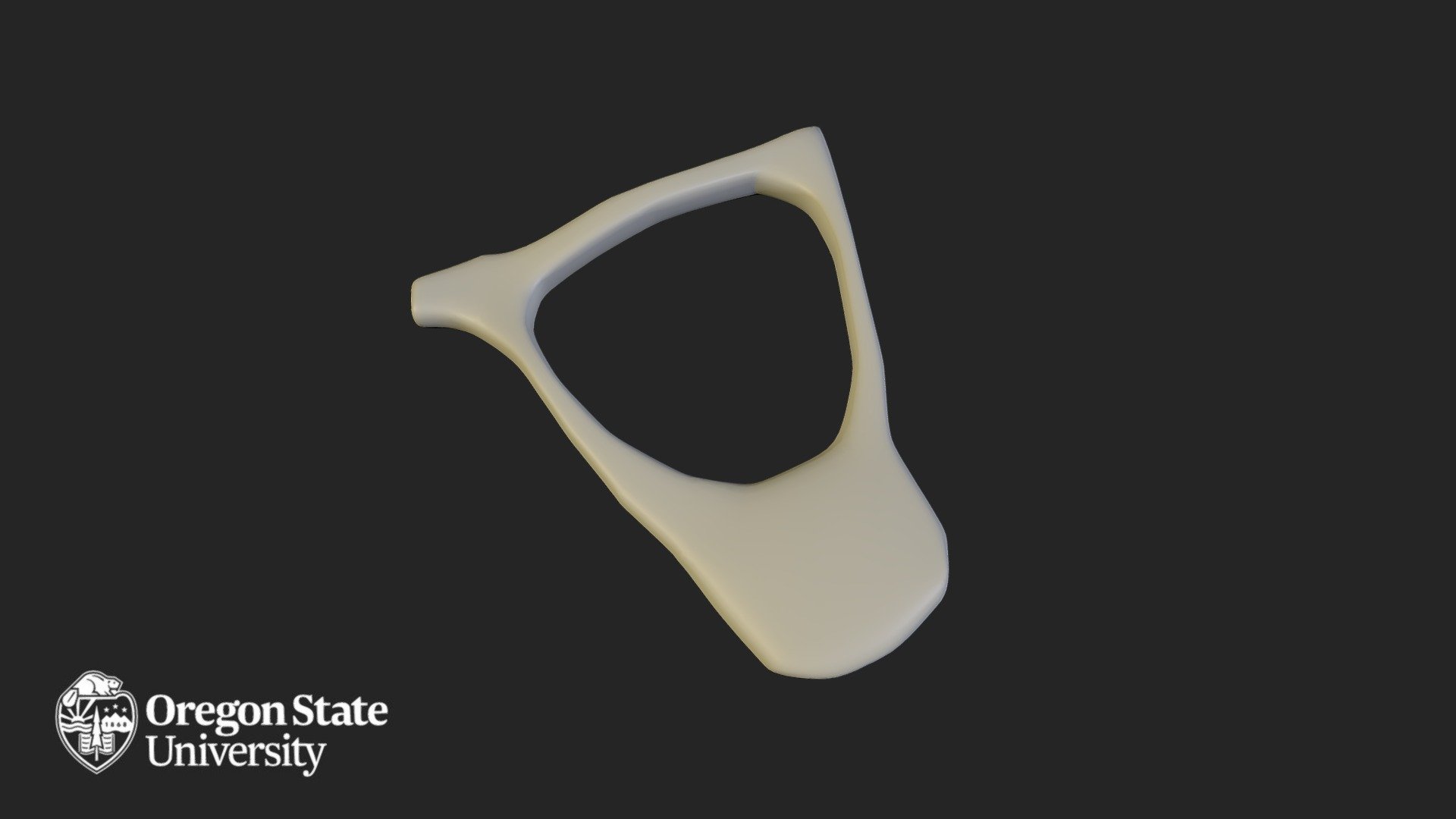 Stapes (Stirrup) - Download Free 3D model by Oregon State University ...
