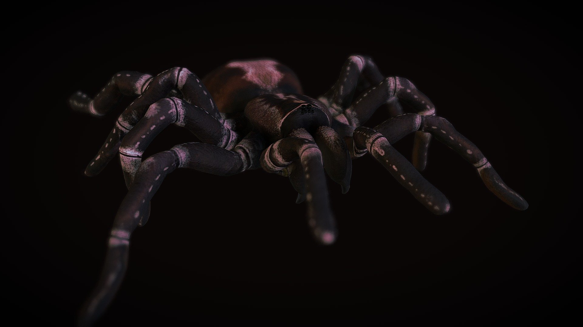 Tarantula - 3D model by Vinnygf [dd8c012] - Sketchfab