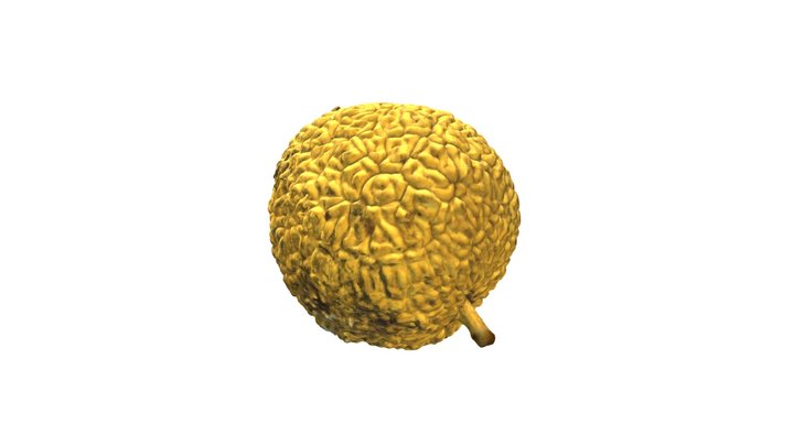 Botany-herbarium 3D models - Sketchfab