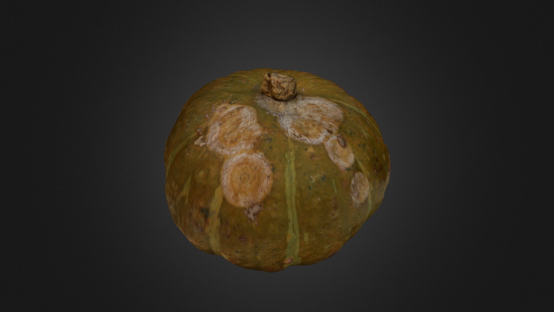 #3dst6 Food Squash - 3D model by KrisAtKingston [dd969e5] - Sketchfab