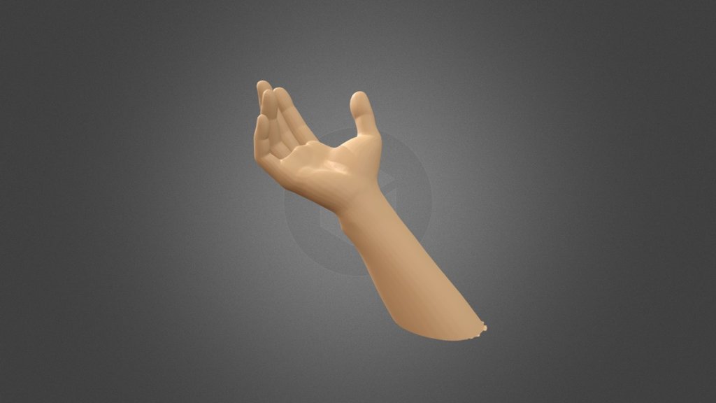 Mano Inf - 3D model by CarrozasSanchez [dd97b94] - Sketchfab