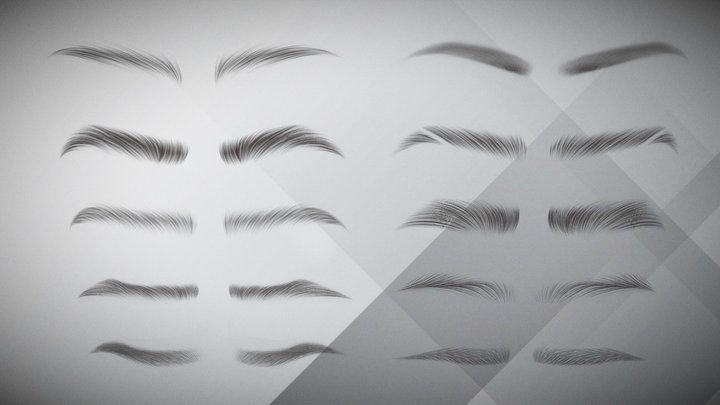 Eyebrow 3D models - Sketchfab