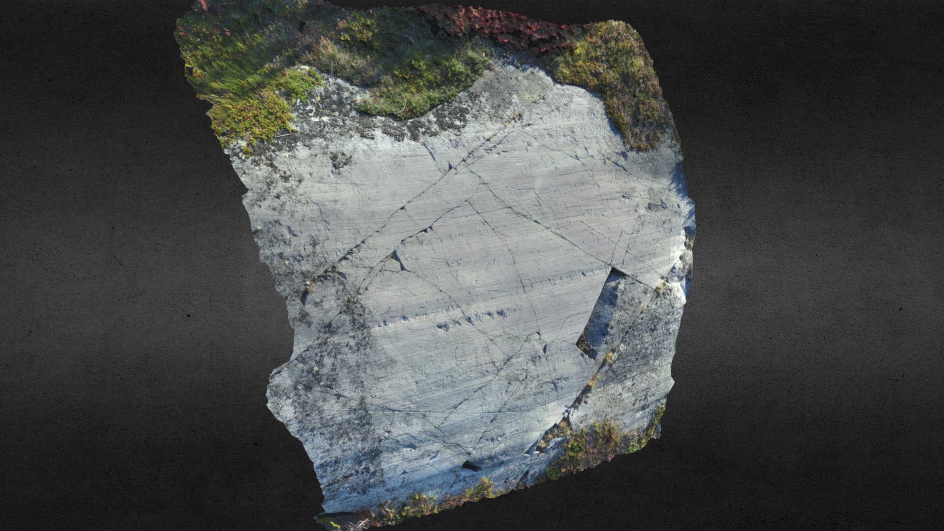 Alta Rock Art: Apana Gård 18 - 3D model by Alta Museum (@AltaMuseum ...