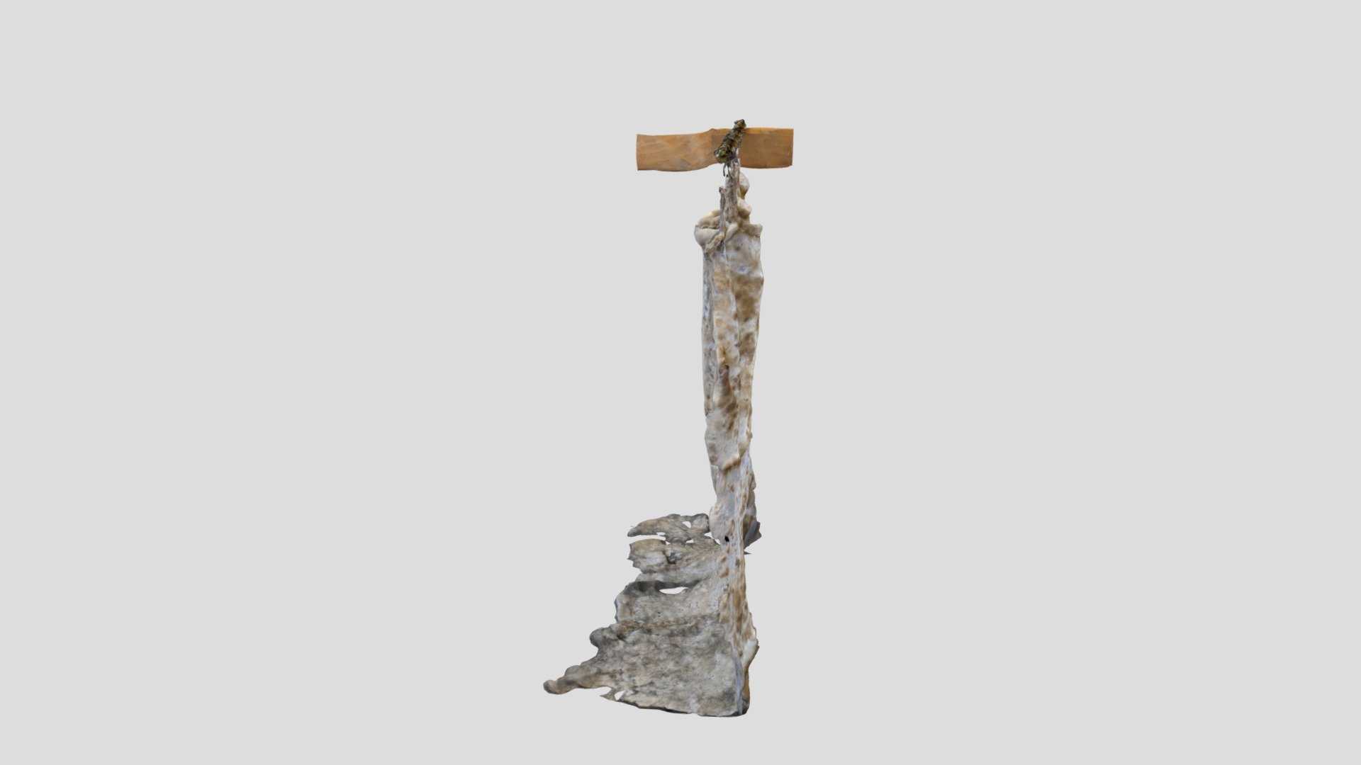 Mycelium curtain 2 - Download Free 3D model by Sophie.Bygballe ...