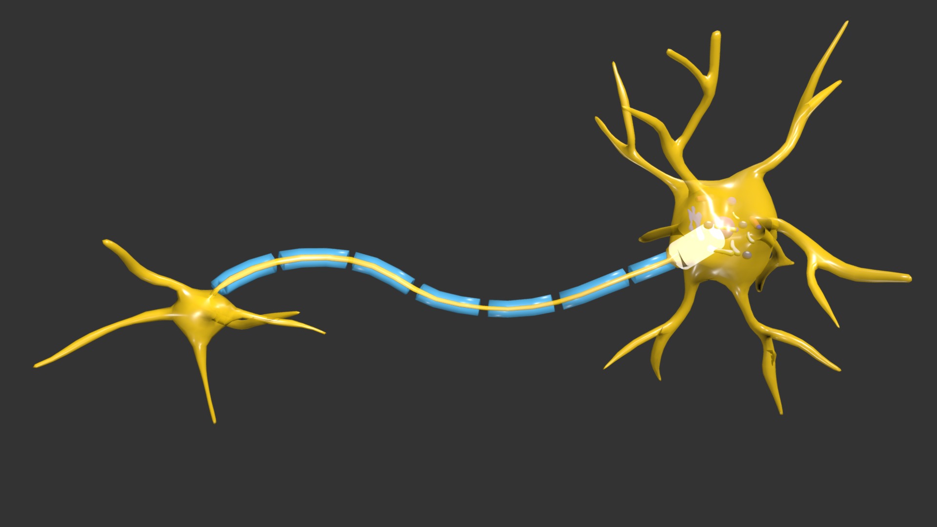 Sistem Syaraf By Chandra - 3D model by Chandraaditya92 (@chanadit520 ...