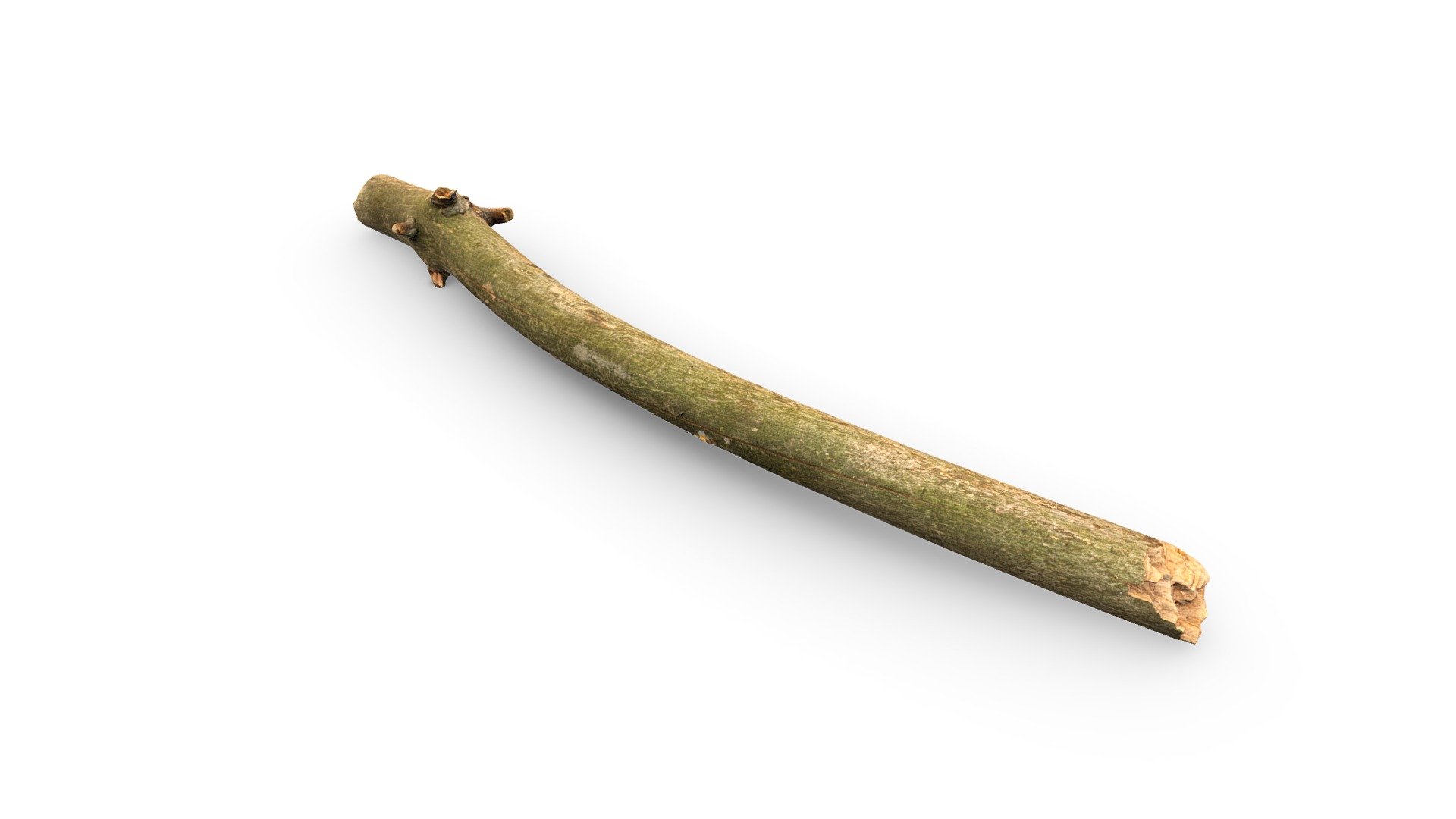 Pine Stick - 3D model by RawCatalog.com (@rawcatalog) [ddd30d5] - Sketchfab