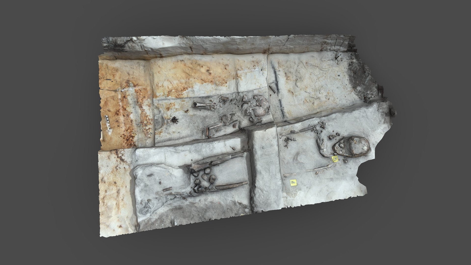 2023 BRB BEF 62 Grab infant weibl - 3D model by praehist3d [ddde9ed ...