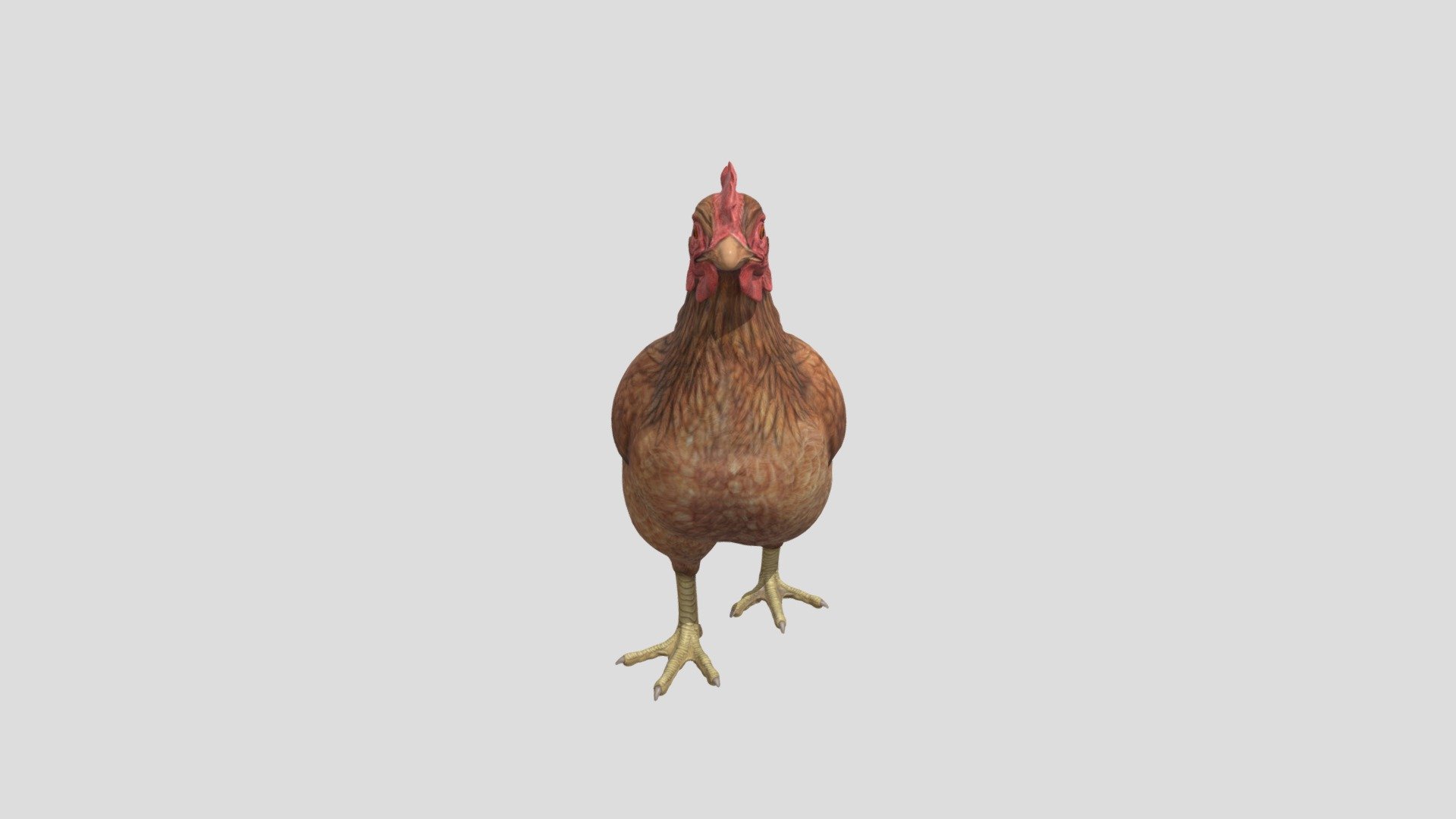 Brown Chicken - Download Free 3D model by Muhammed Hashir (@amir.saeed ...