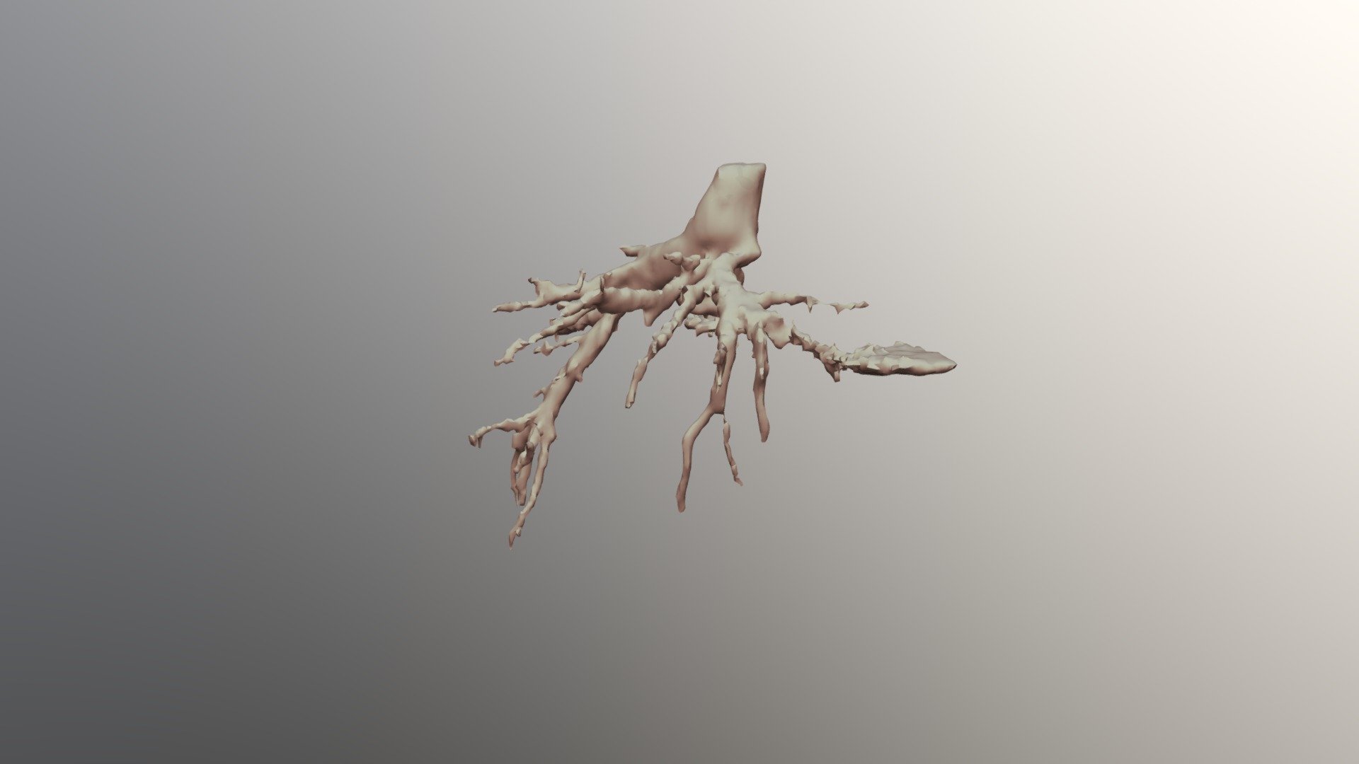Liver - 3D model by eduardosantos95 [dde8a78] - Sketchfab