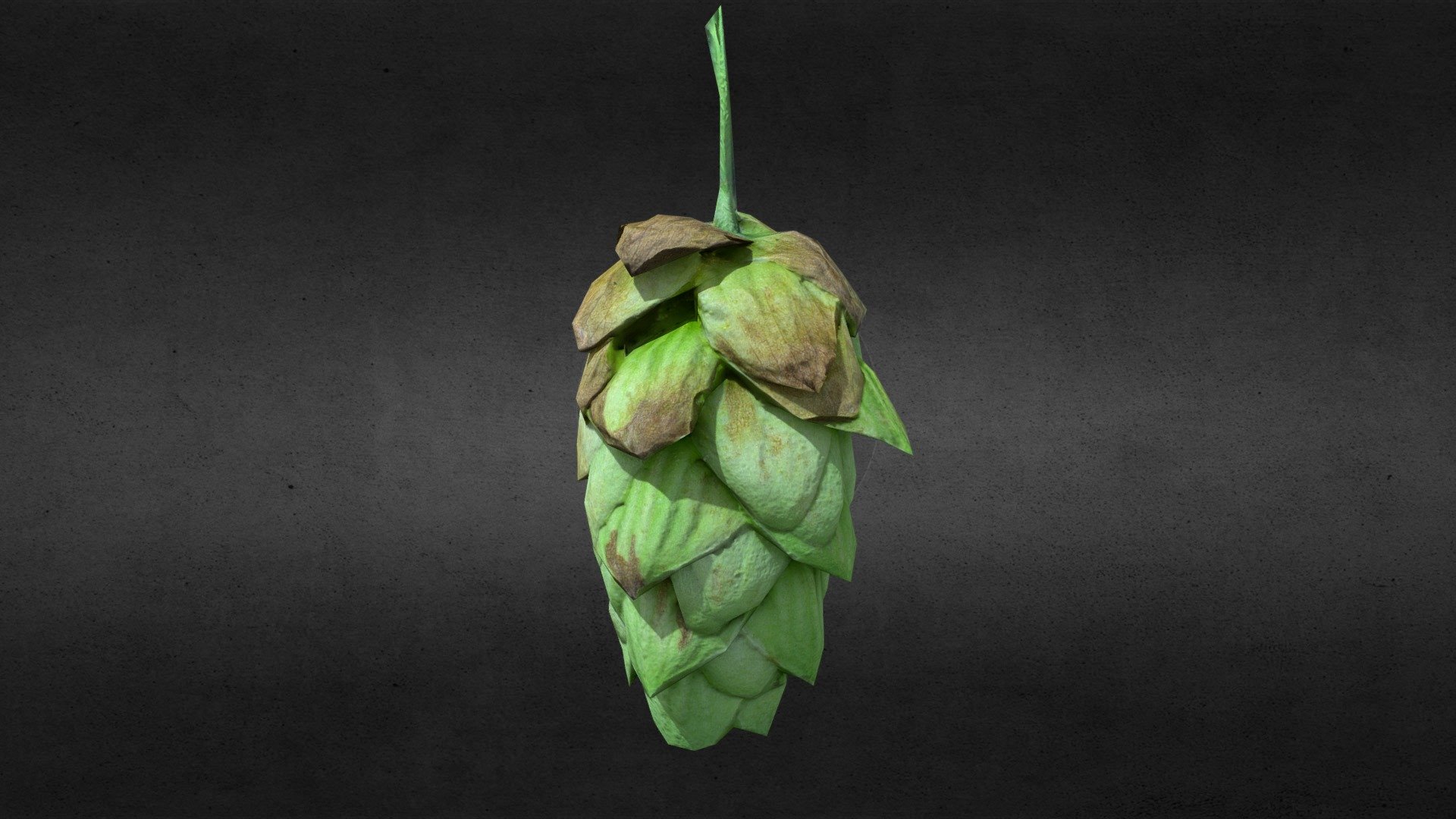 Hop cone 1_lowpoly baked - Buy Royalty Free 3D model by yelizegi ...