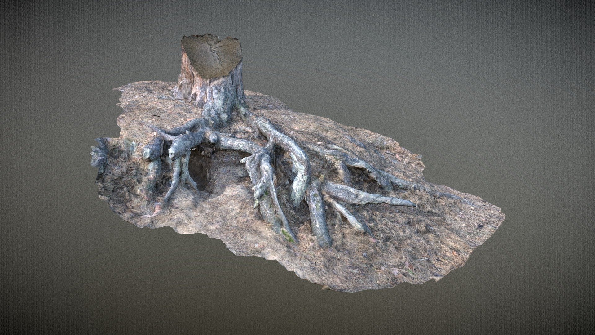 Tree Stump with Roots - 3D model by Jana vdBeucken (@JvdB) [de0515b ...