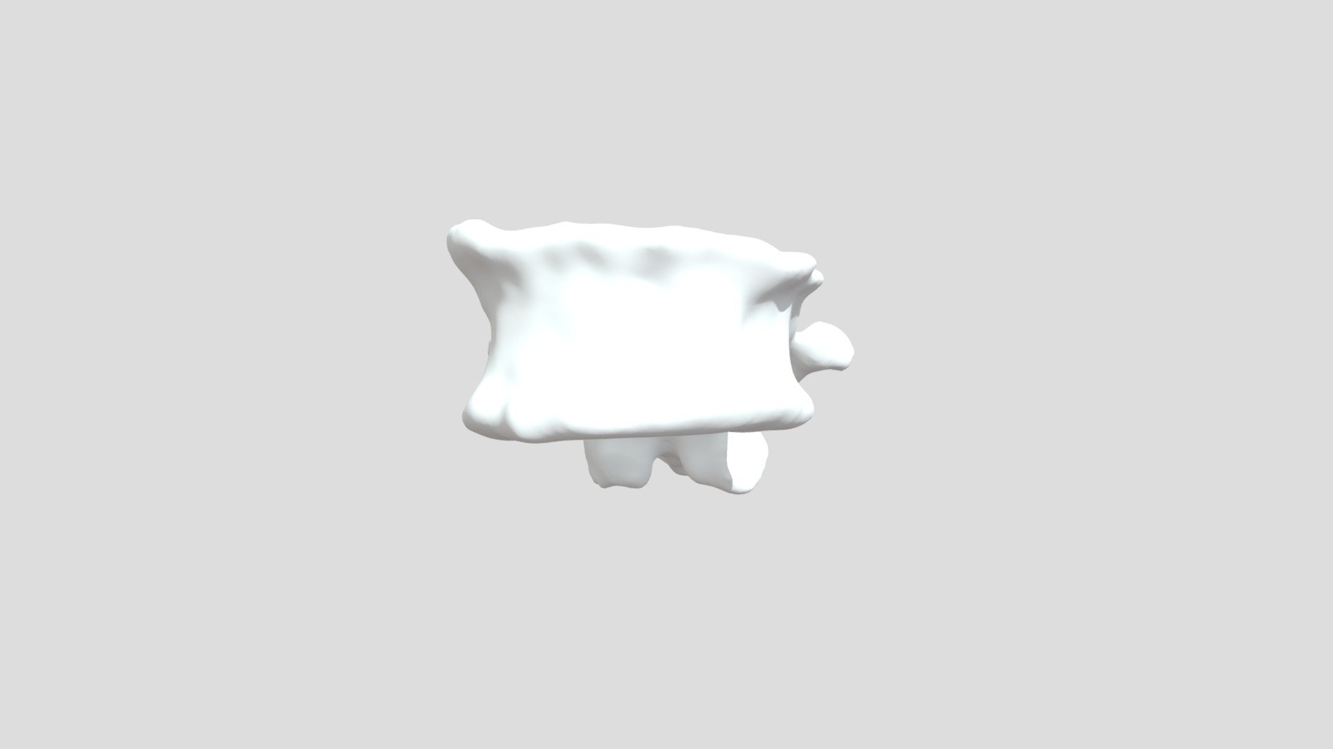Spine Segmentation_T12 Vertebra - 3D model by sohaild [de0d779] - Sketchfab