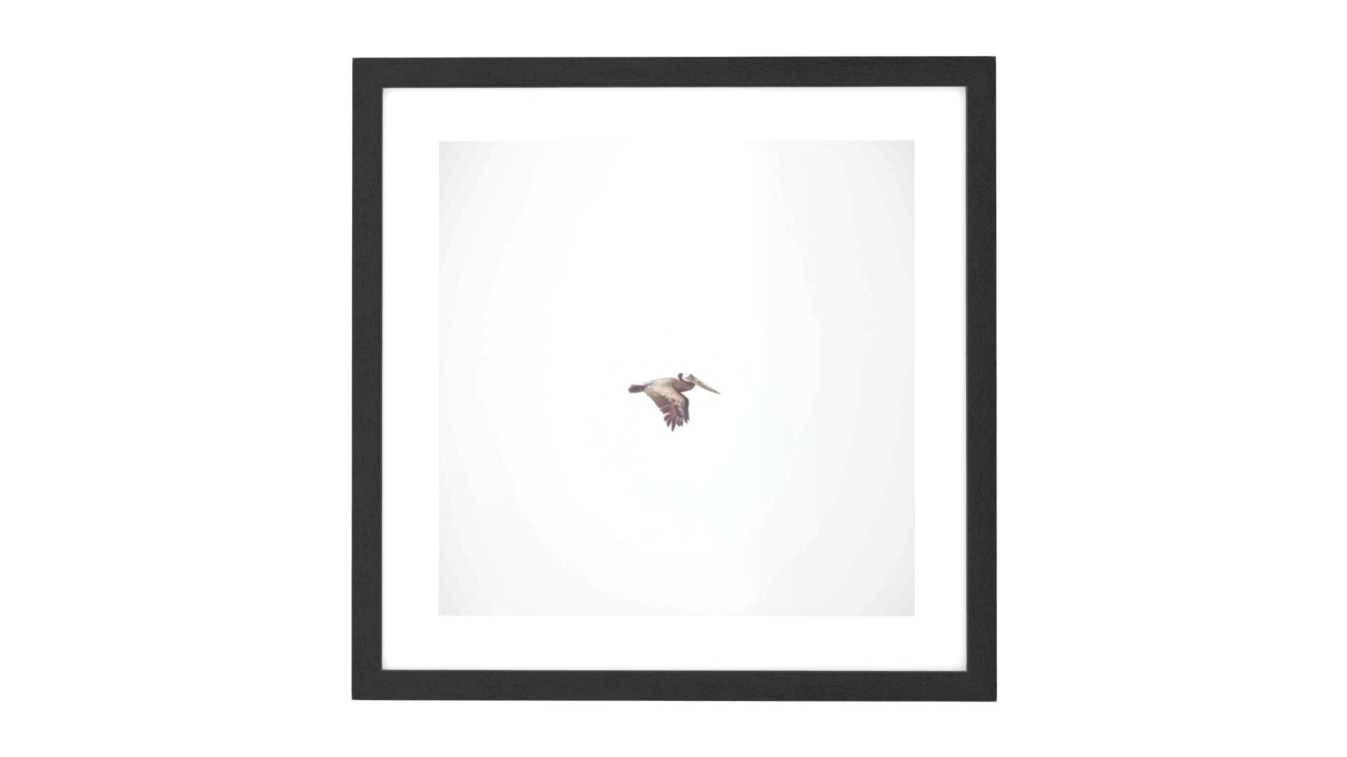 Solo Flight Bird Framed Wall Art Print, Multi - Download Free 3D model ...