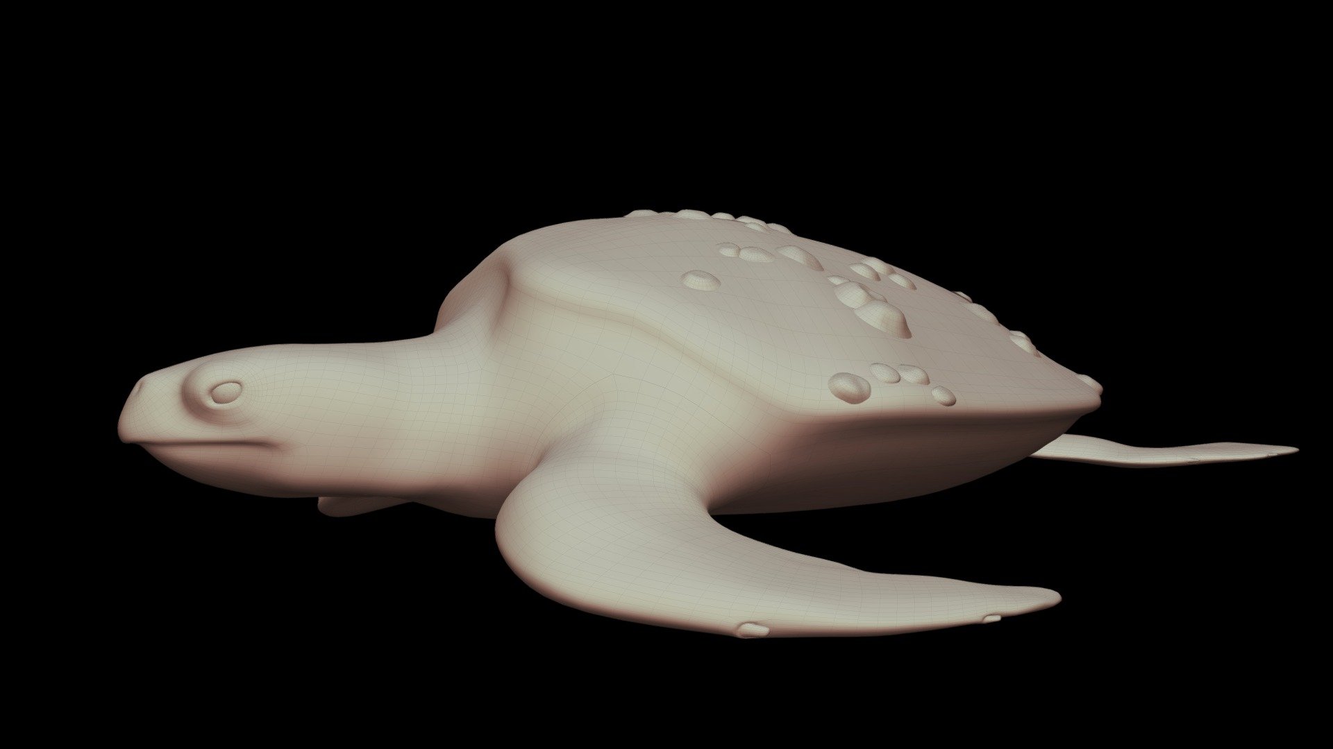 Model 47B - Loggerhead Sea Turtle Mesh - Download Free 3D model by ...