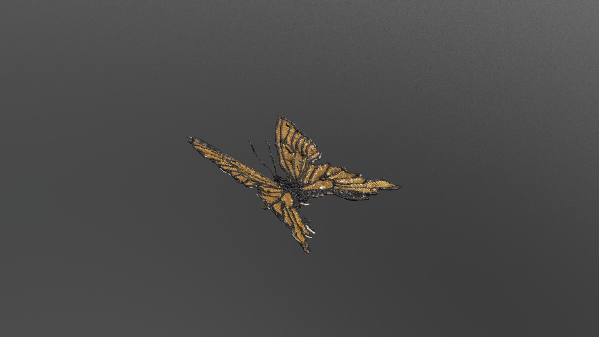 Butterfly - 3D model by dfharvard [de33118] - Sketchfab