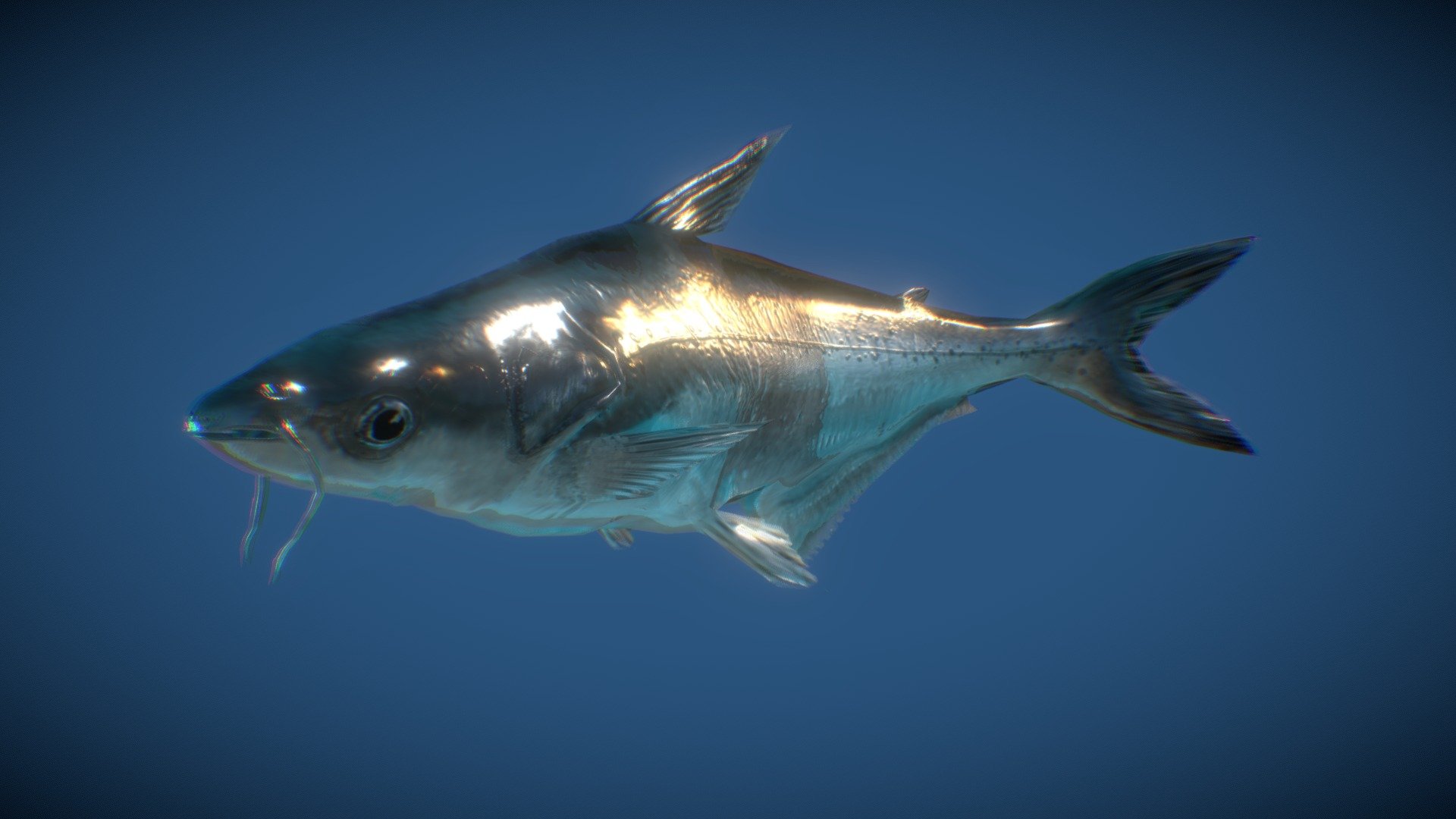 Panga Fish - CatFish - Buy Royalty Free 3D model by Maycon.Chaves ...