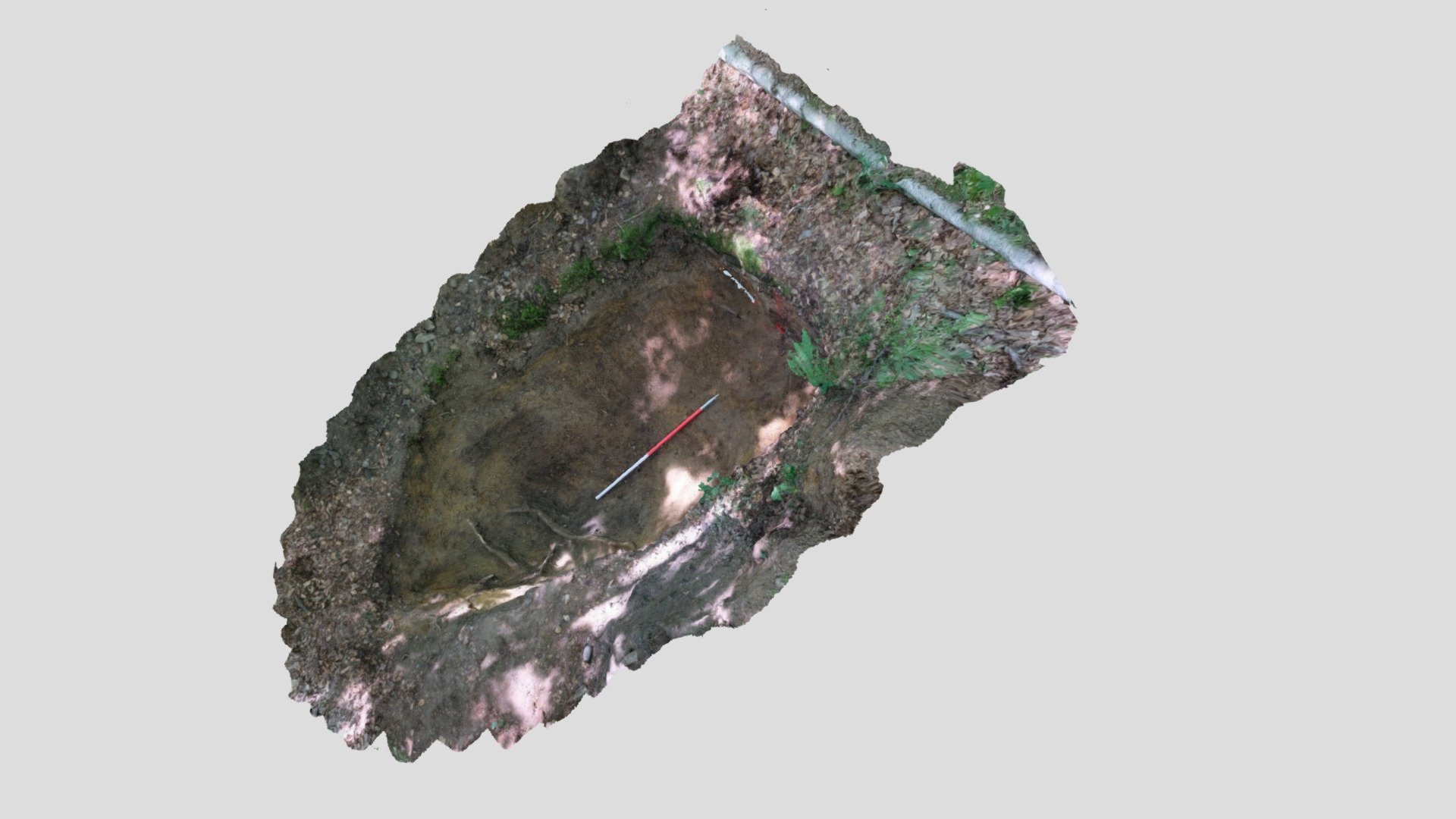 SLIT TRENCH 1 - Bitchet Common, Kent - 3D model by peterbarry [de3a758 ...