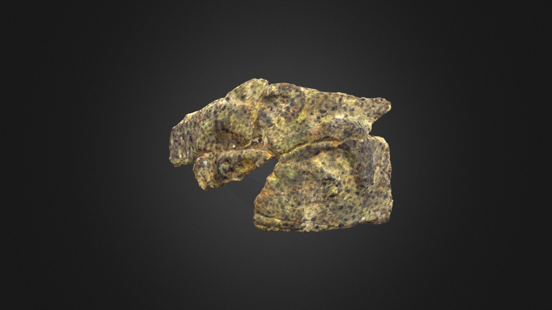 Steatite Bird Effigy - 3D model by Louisiana Division of Archaeology ...