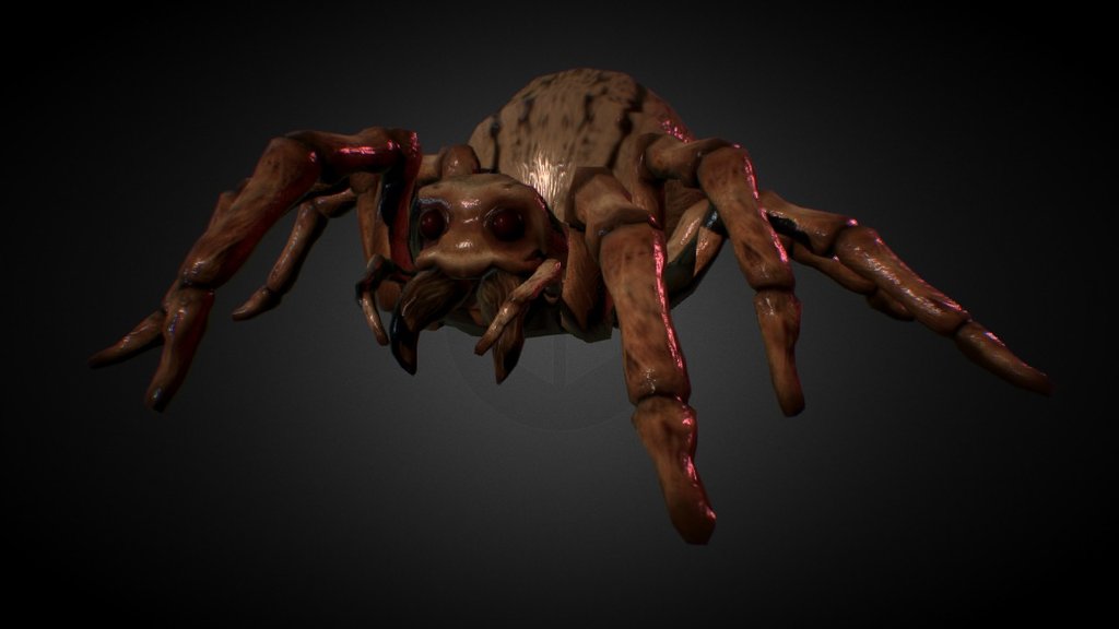 Spider - 3D model by kristyan hadi (@kristyan.hadi) [de46df8] - Sketchfab