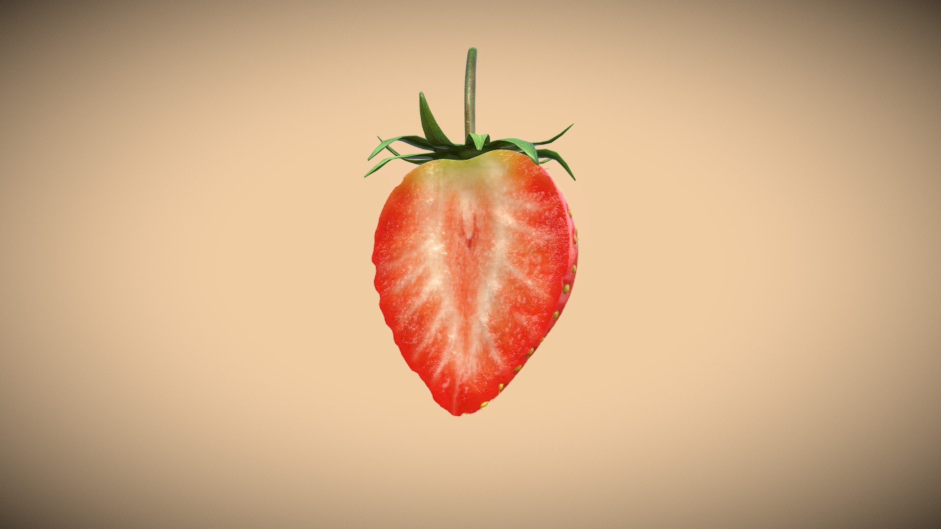 Anatomy of Strawberries - 3D model by LightFiction [de478c4] - Sketchfab