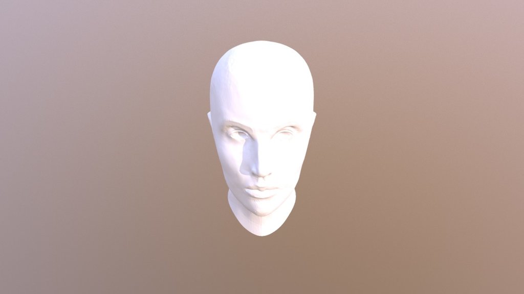 Highpoly Face Sculpt - 3D model by Ash Puddle (@guardiancraft272 ...