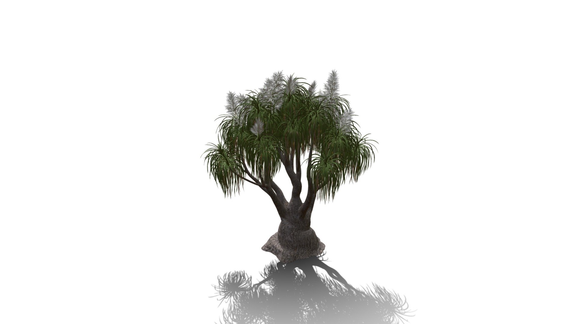 Realistic HD Elephant Foot (8/40) - Buy Royalty Free 3D model by ...