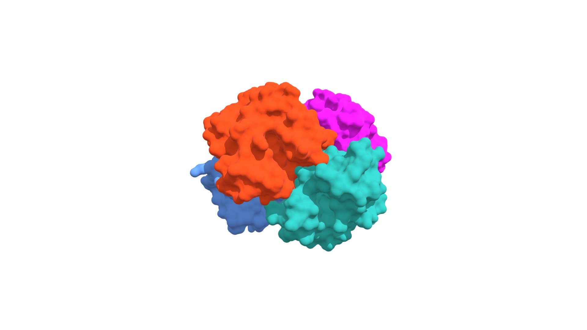 Hemoglobin - Surface Model - 3D model by Garrettchen [de59a66] - Sketchfab