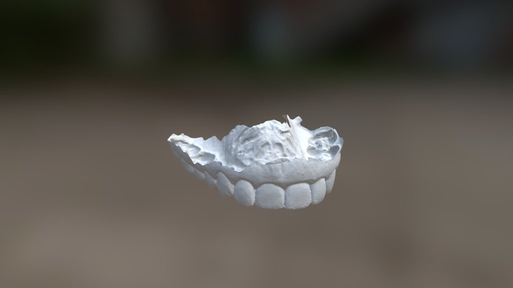 Houda Upper Jaw - Download Free 3D model by 💵5️⃣🅾️ (@USD50) [de5f164 ...