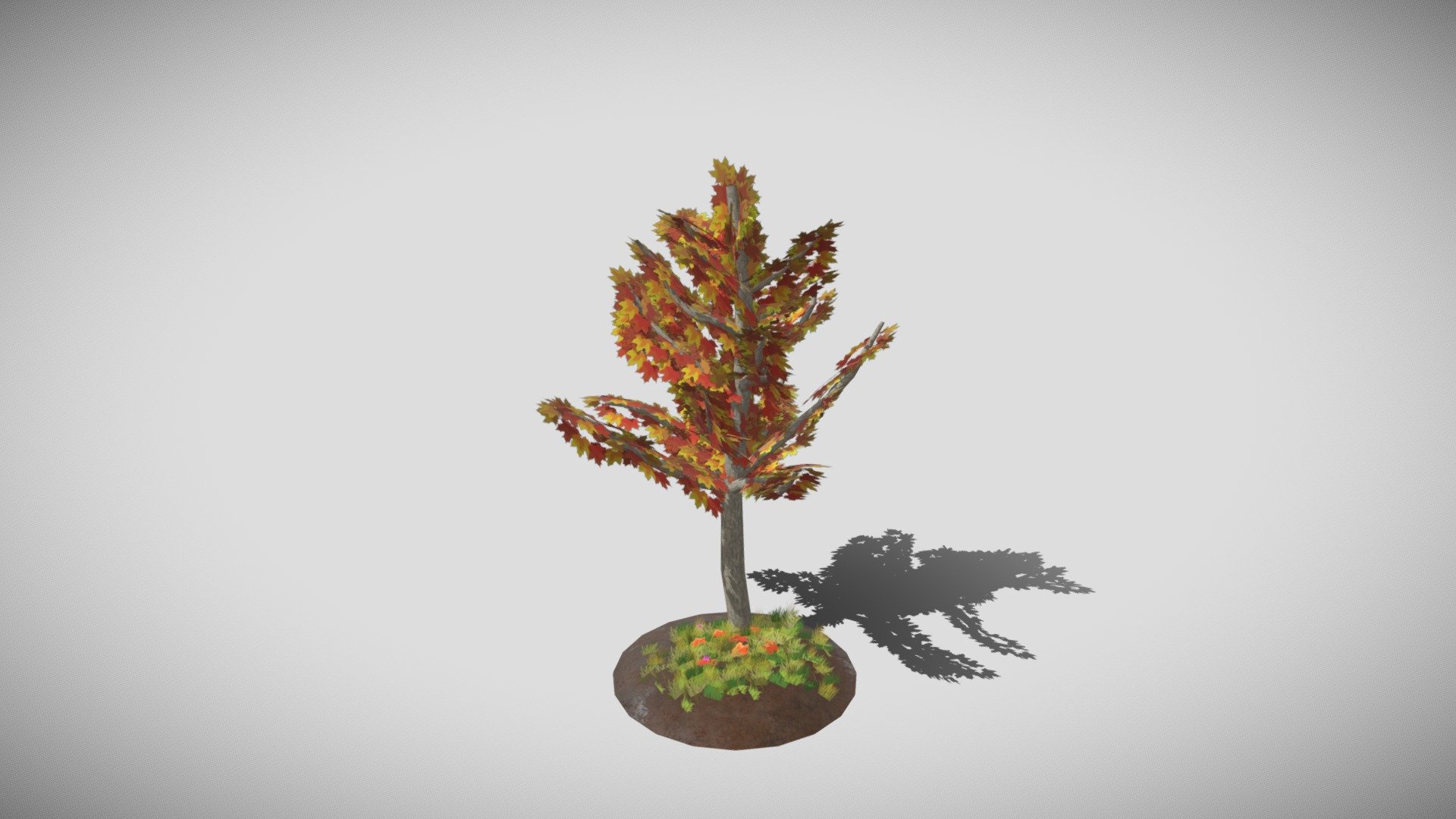 Maple Tree Scene - 3D model by lcotton2 [de60cb8] - Sketchfab