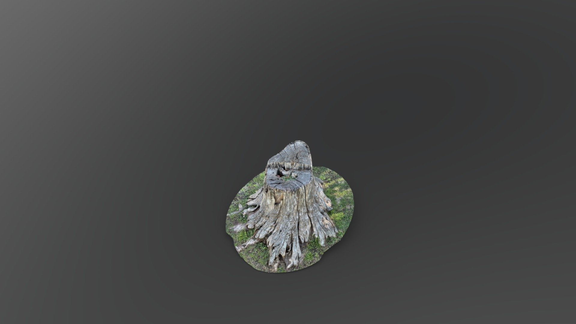 Tree trunk number two - Download Free 3D model by ovenam [de6145d ...