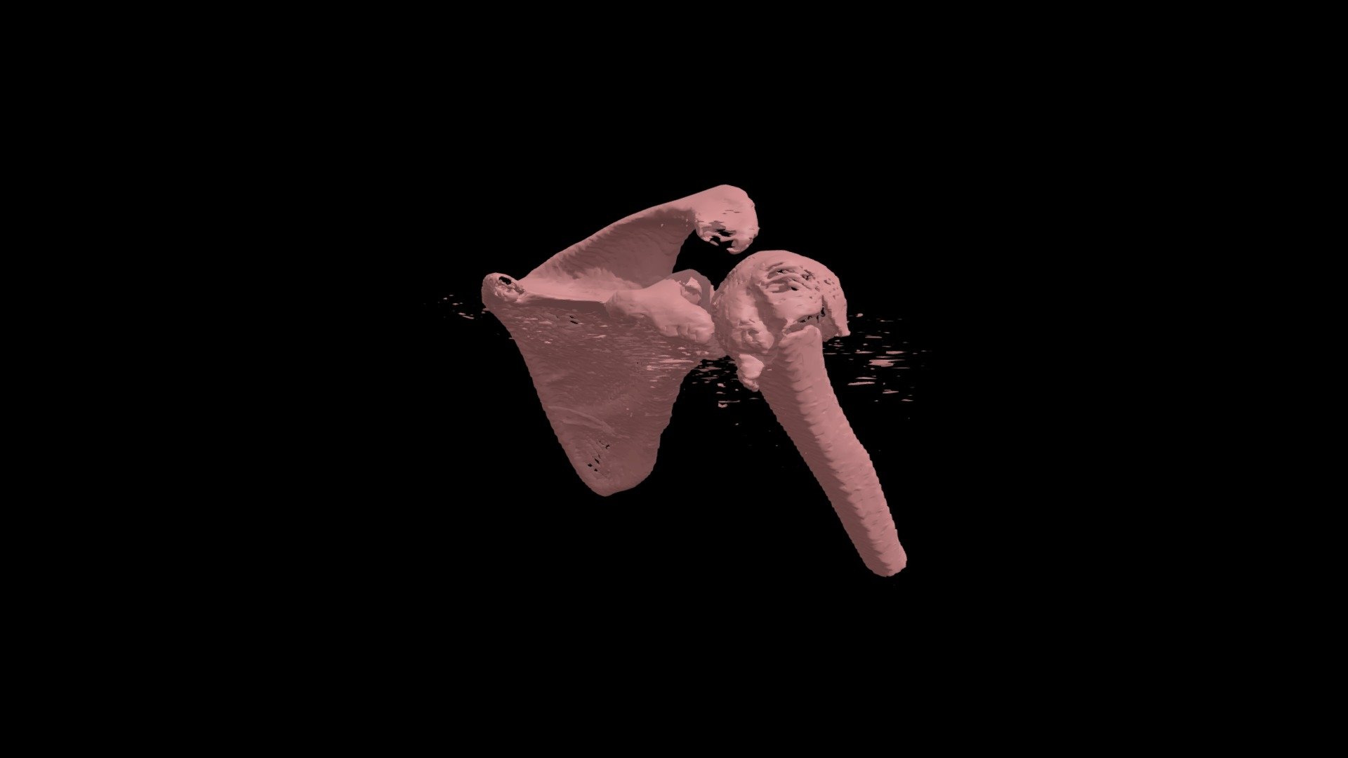 DINESH - 3D model by kne3wiz-drjay [de66195] - Sketchfab
