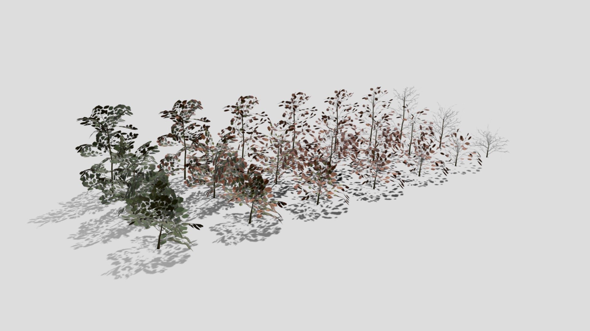Beech Shrubs Pack - Buy Royalty Free 3D model by kambur [de67872] - Sketchfab Store