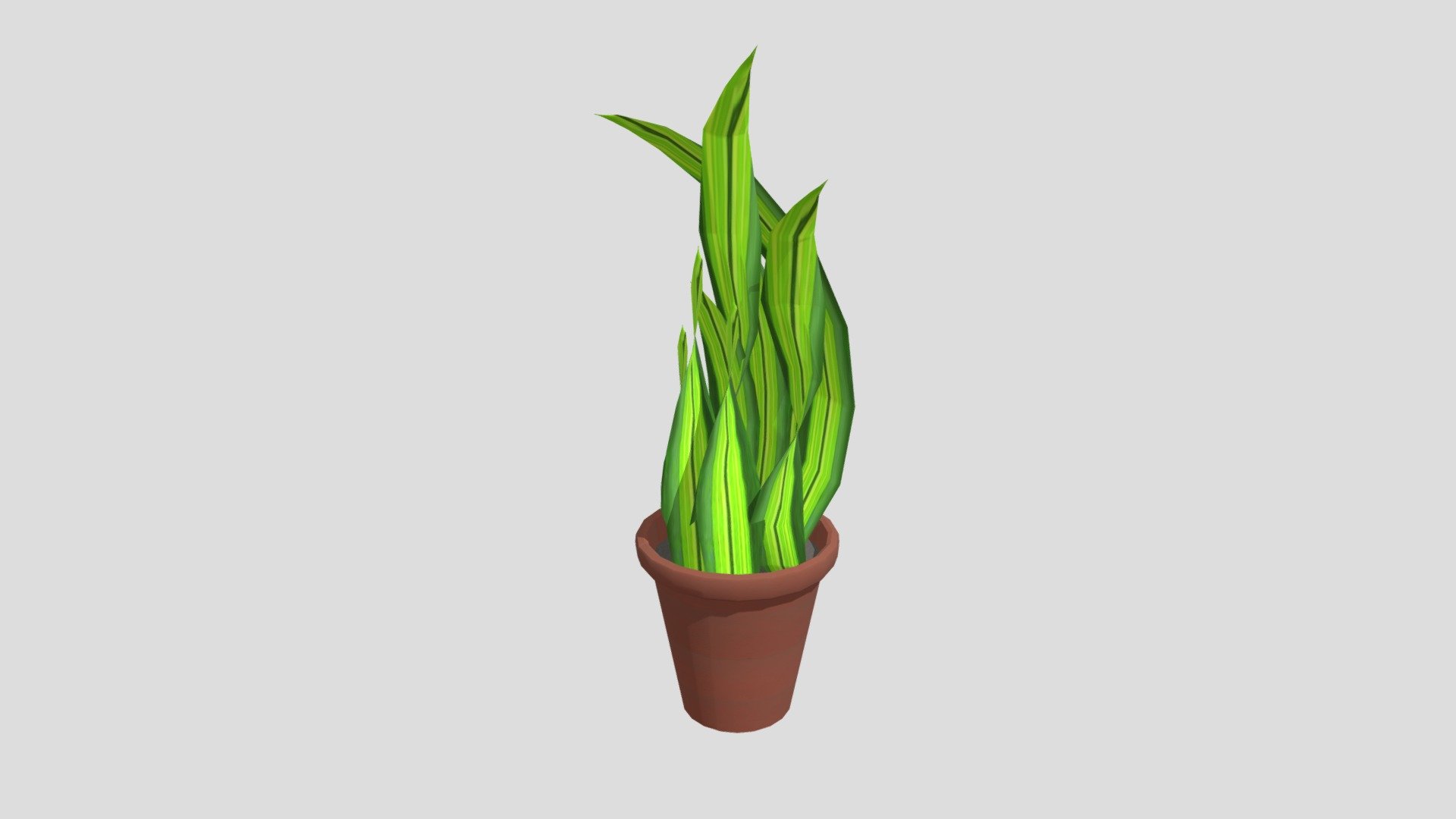 Snake Plant - 3D model by Robin Kim (@kim2325) [de6b78d] - Sketchfab