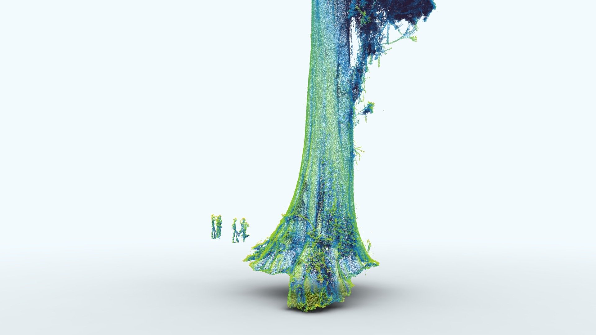 Lathamus Keep, Tasmania - 3D model by Q-ForestLab (Ghent University) (@CAVElab_UGent) [de6fffc ...