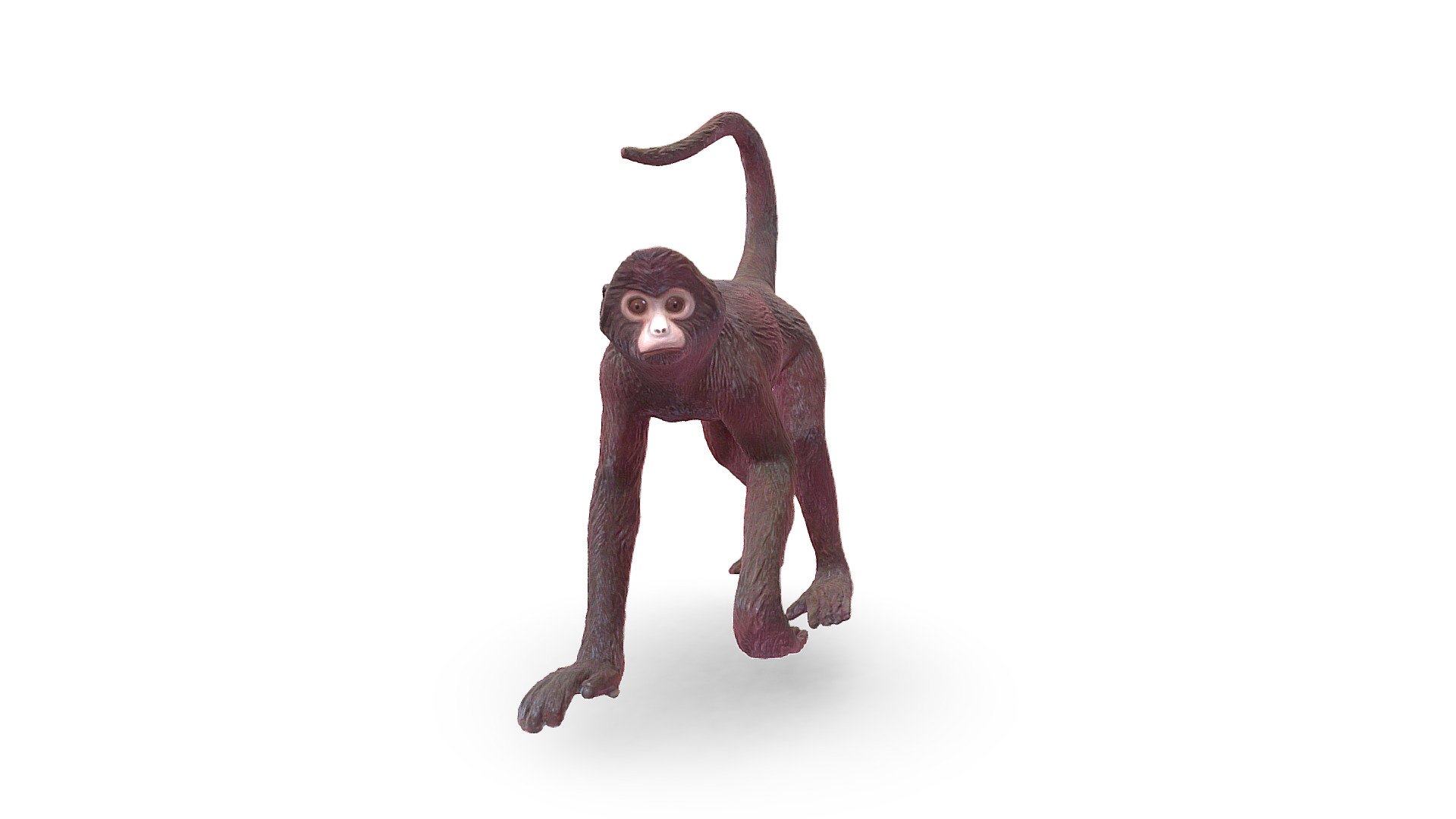 spider-monkey - 3D model by TheInteriorGallery [de7482d] - Sketchfab