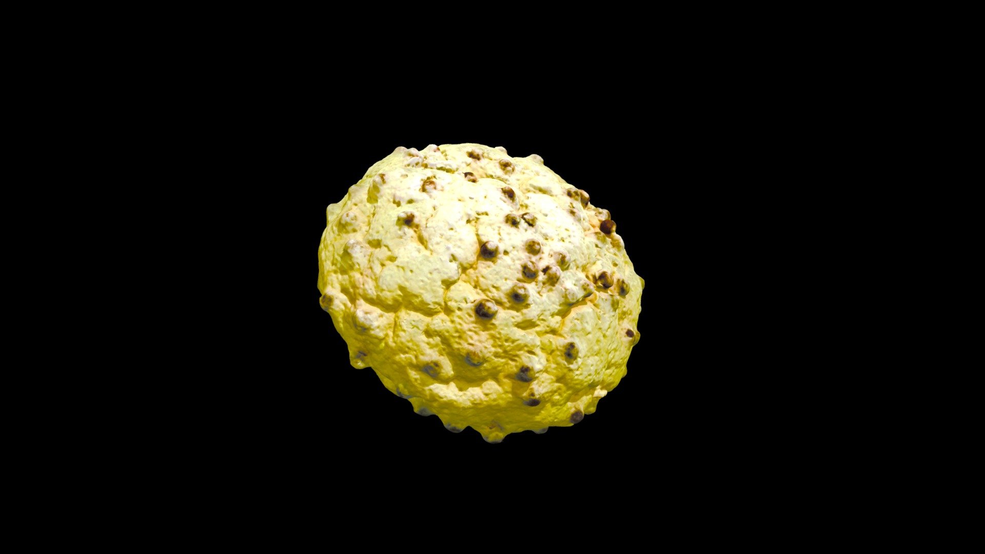 melonpan - 3D model by 3Dfoodscan collection (@3dfoodcollection-u ...