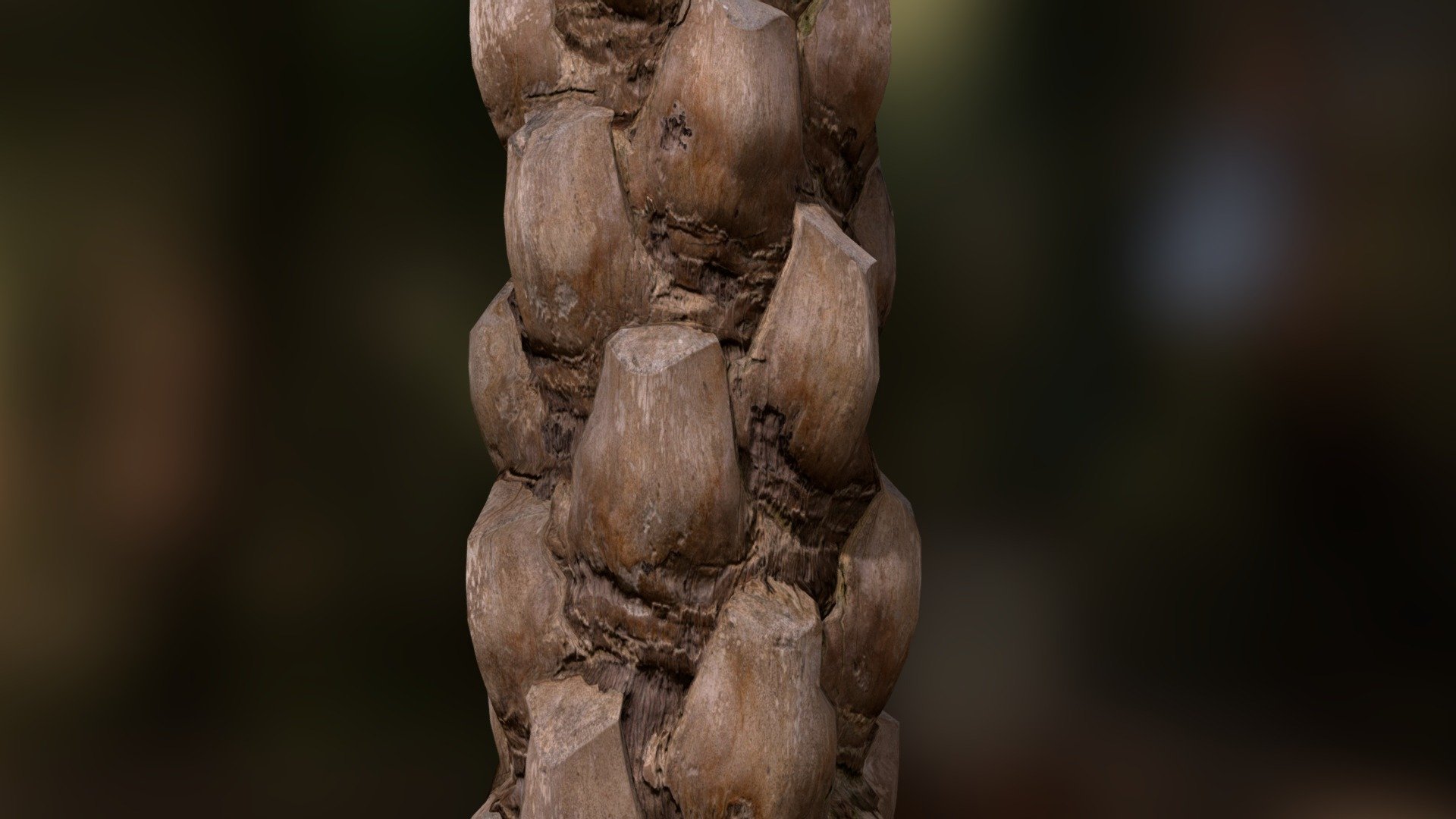 Scanned Palm Tree Texture - 3D model by James Candy (@jamescandy ...